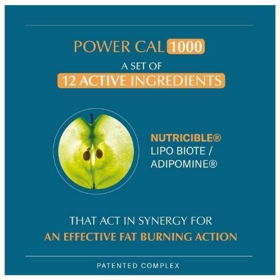 POWER CAL 1000 – belteleachat